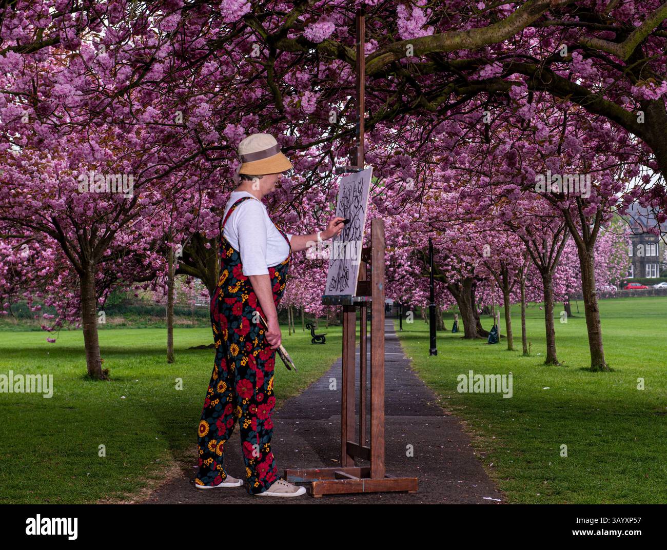 Harrogate, UK. 21st Apr, 2025. Local painter Kim Coley drawing and ...