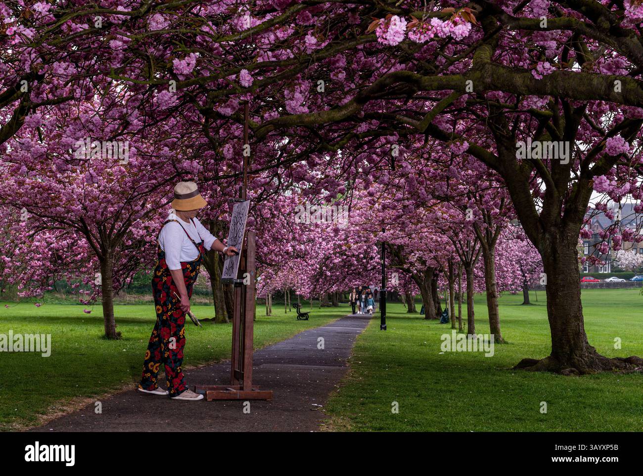 Harrogate, UK. 21st Apr, 2025. Local painter Kim Coley drawing and ...