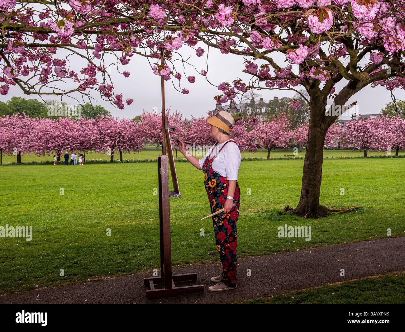 Harrogate, UK, 21st April 2025. Local painter Kim Coley drawing and ...
