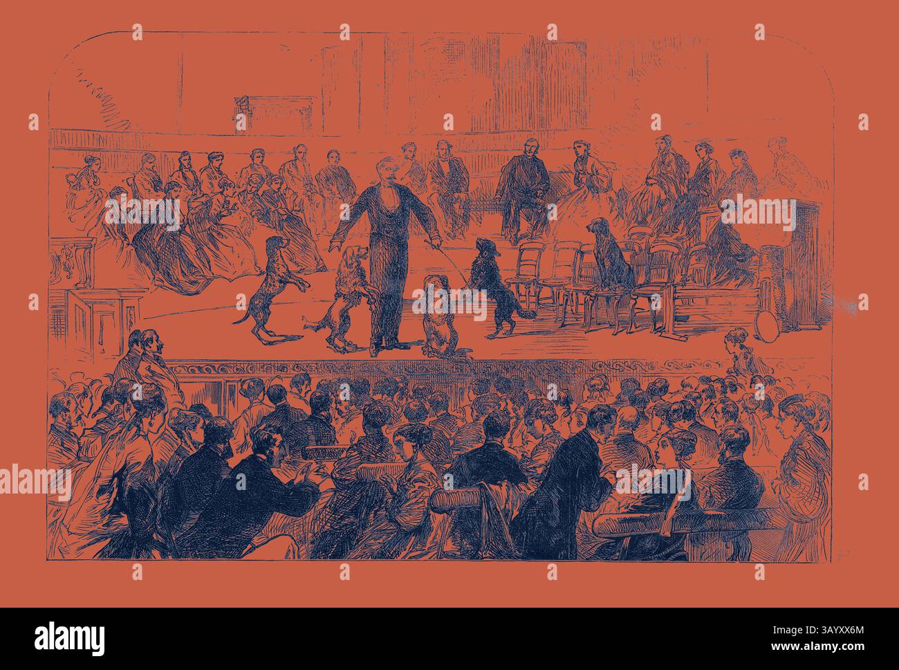 Lively stage performance featuring hi-res stock photography and images ...