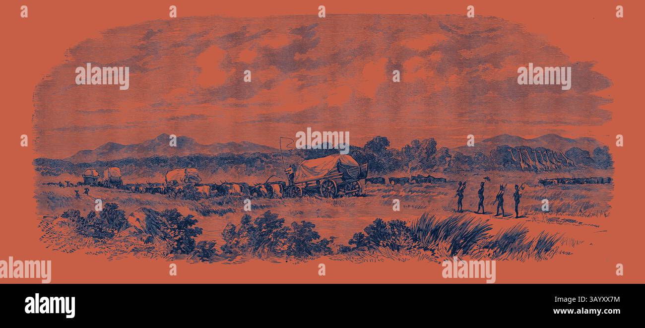 A caravan of covered wagons progresses along a winding path ...