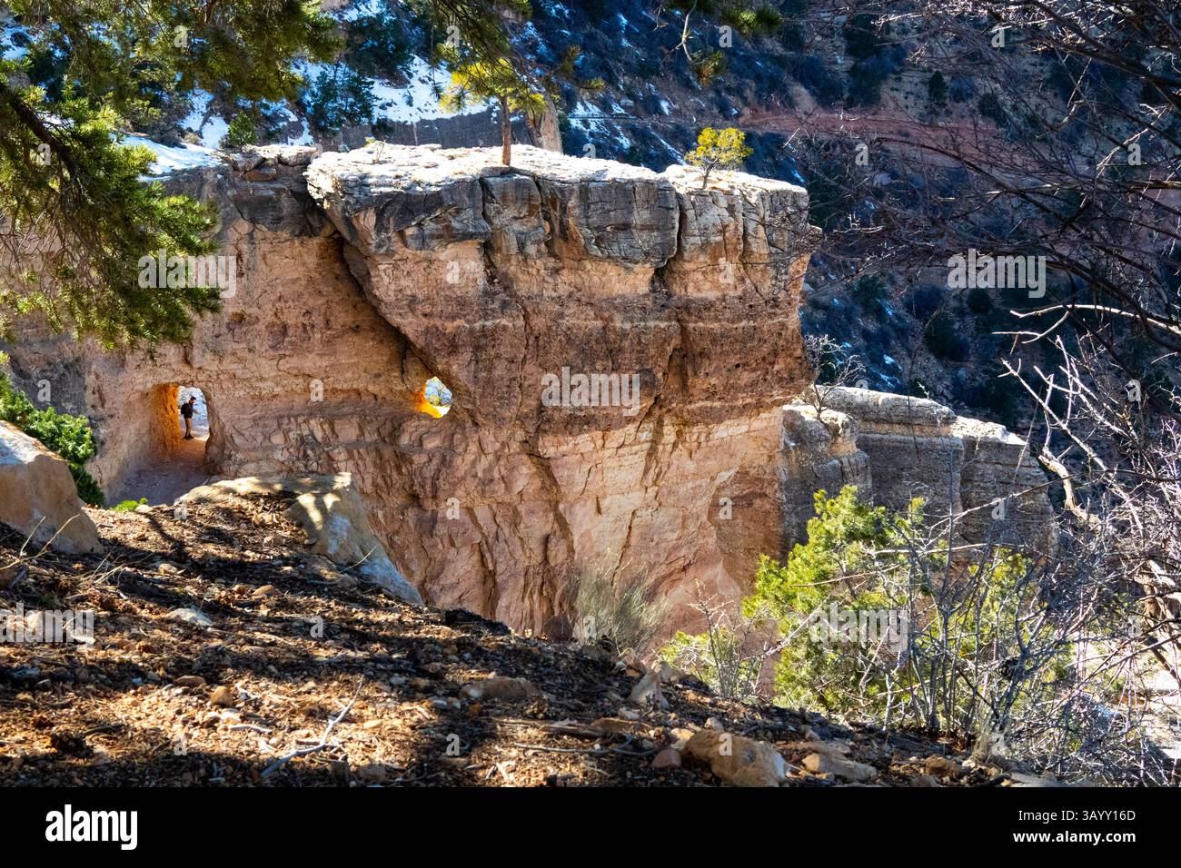 View hikers on an icy trail at the Grand Canyon Arizona USA Stock Photo ...