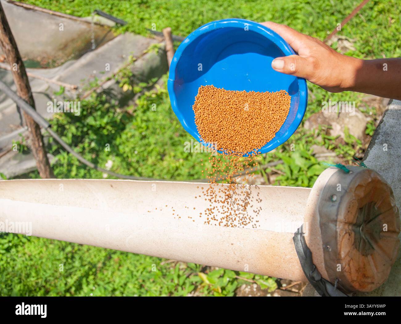 Sustainable fish farm hi-res stock photography and images - Alamy