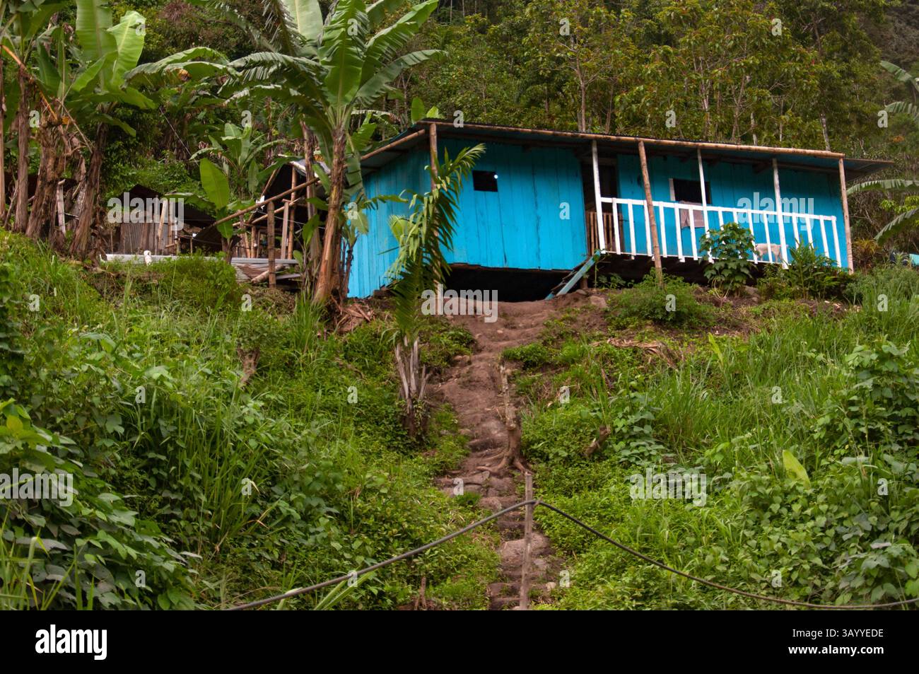 Lush vegetation on tropical hi-res stock photography and images - Alamy