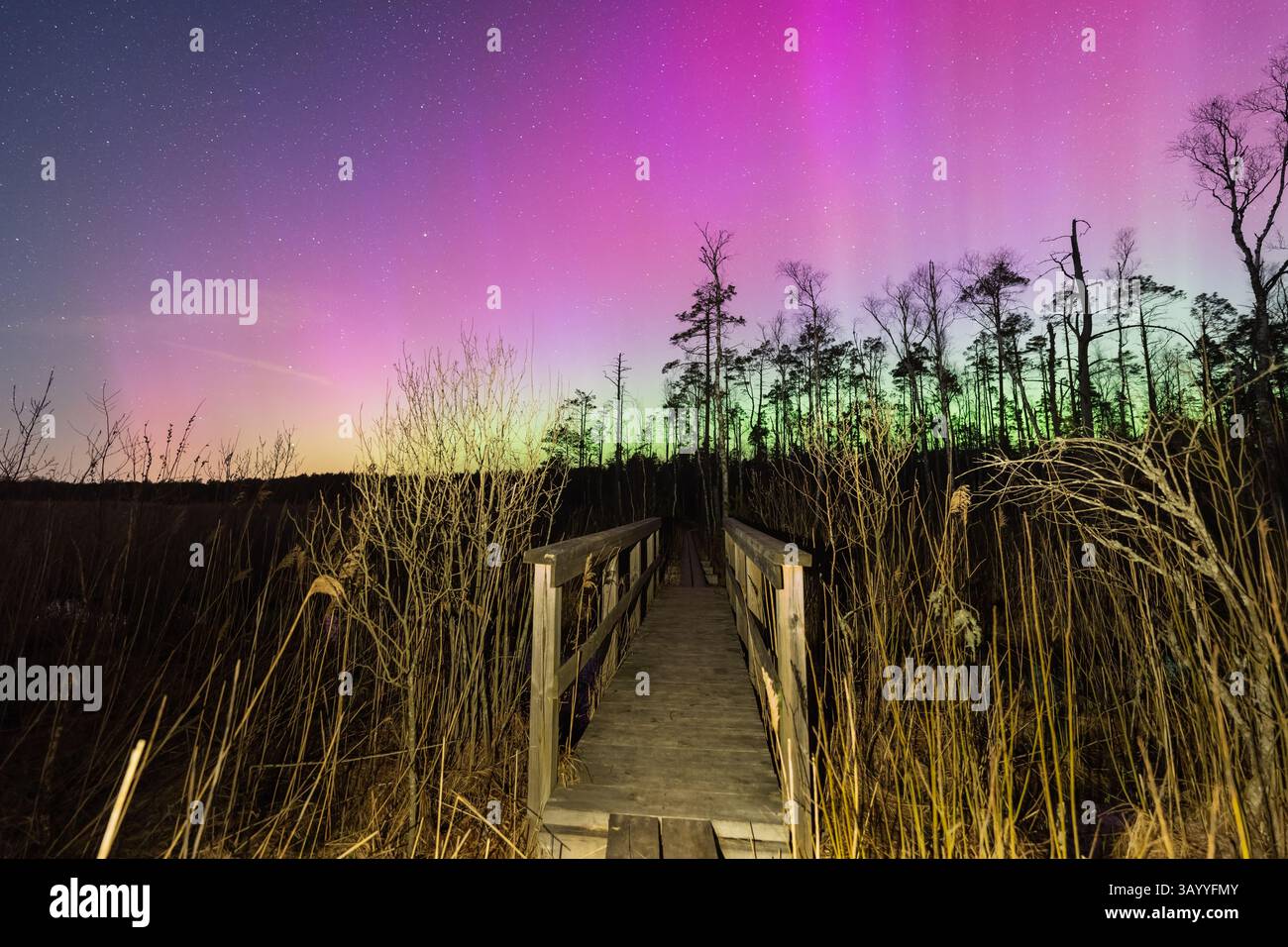 Stunning pink and green Northern Lights illuminate the night sky above ...