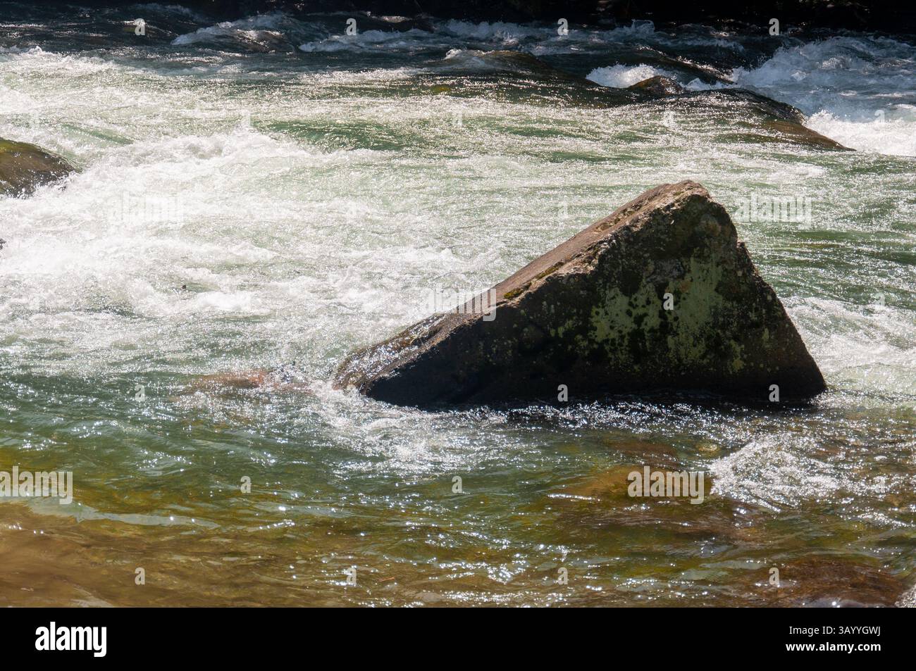 River water flowing over rocks and mossy boulder Stock Photo - Alamy