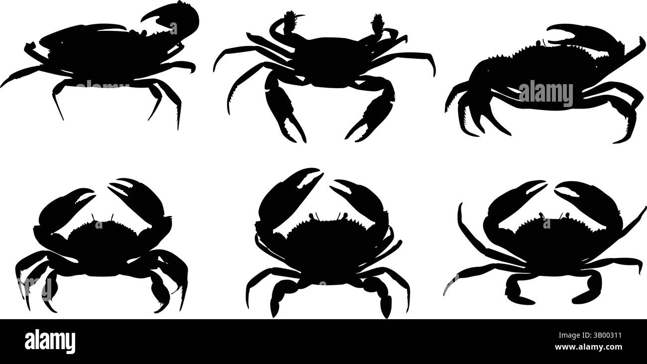 Six crab silhouettes displayed on a white background in varying ...