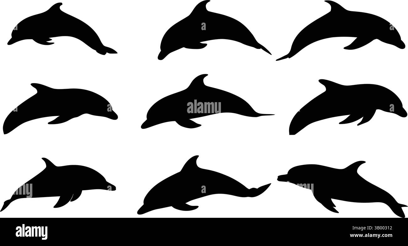 Nine black dolphin silhouettes arranged on a white background in ...