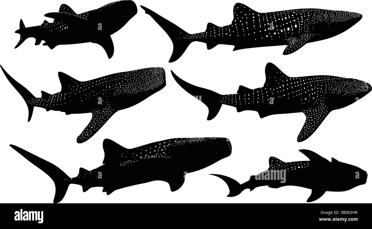 Whale sharks swimming in Stock Vector Images - Alamy