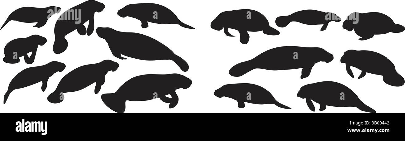 A group of manatee silhouettes in different poses against a white ...