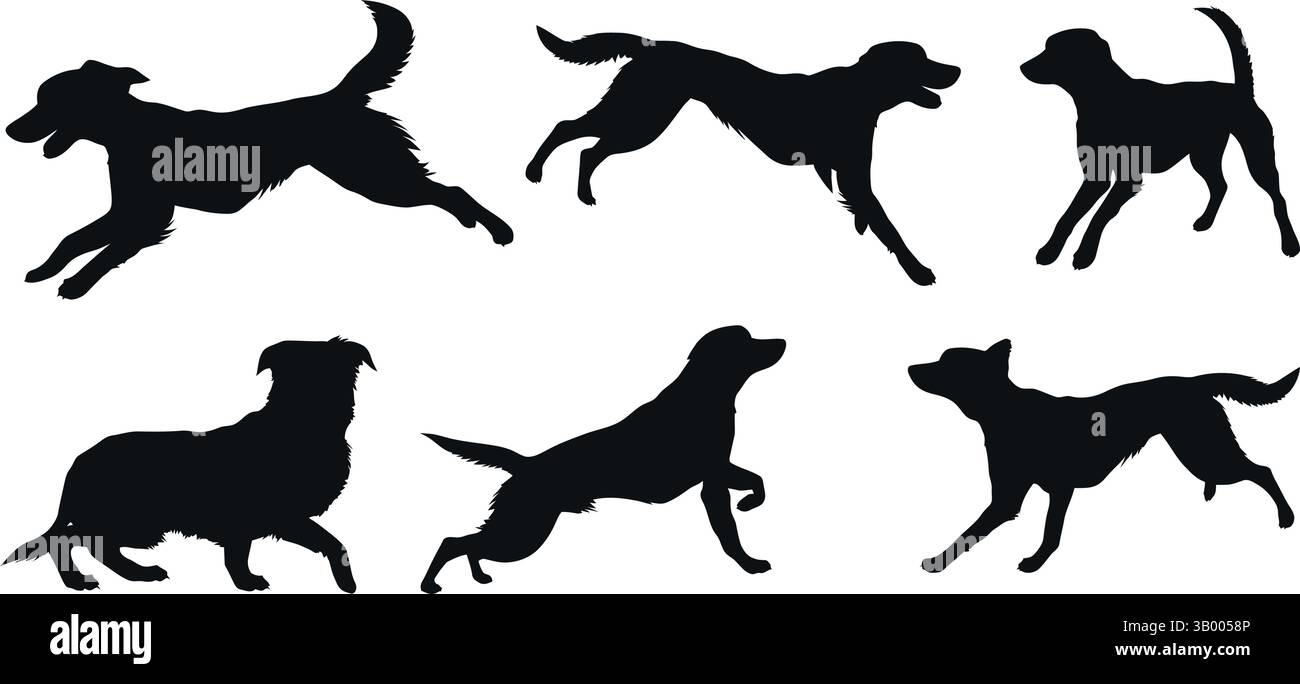 Collection of dog silhouettes in various poses against a white ...