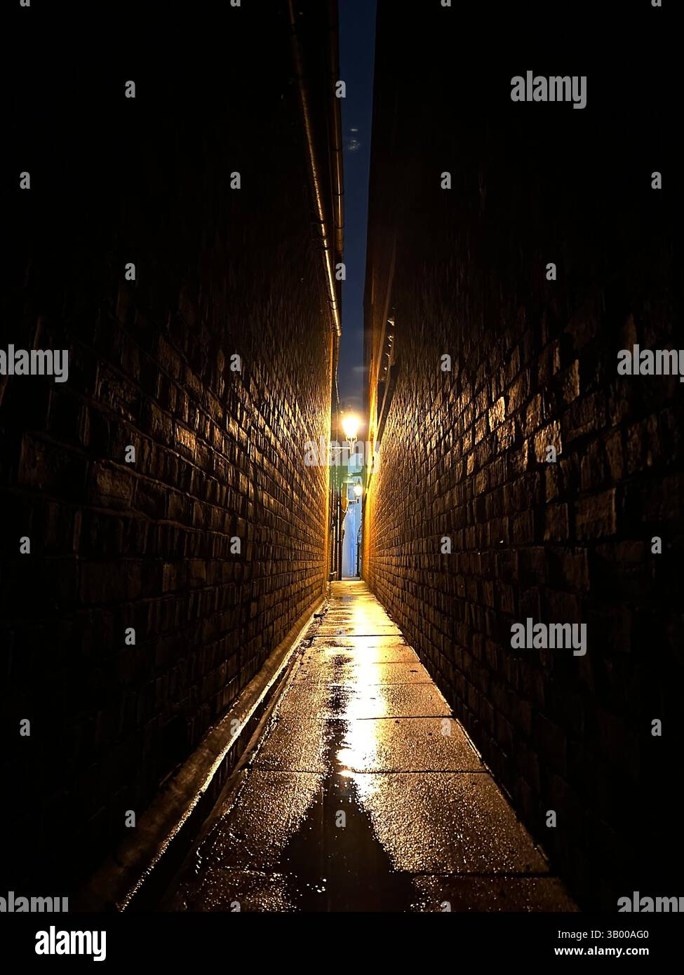 Street photography. pathways. narrow alley. edinburgh walls. aley in ...