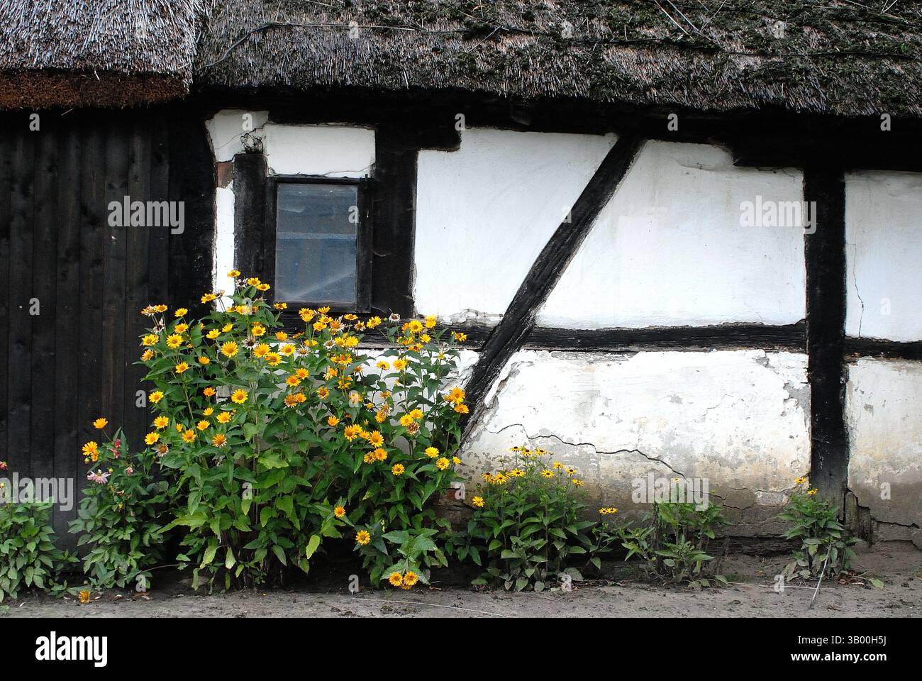 A section of a traditional half-timbered house with a thatched roof ...