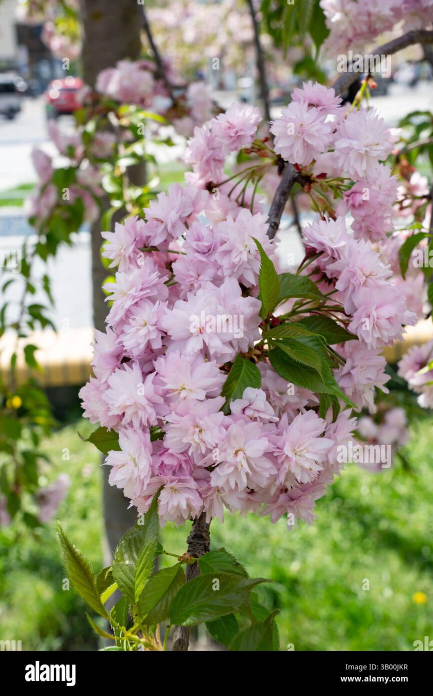 Bustling street create hi-res stock photography and images - Alamy