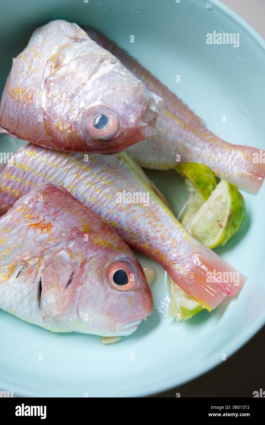 Raw red snapper hi-res stock photography and images - Alamy