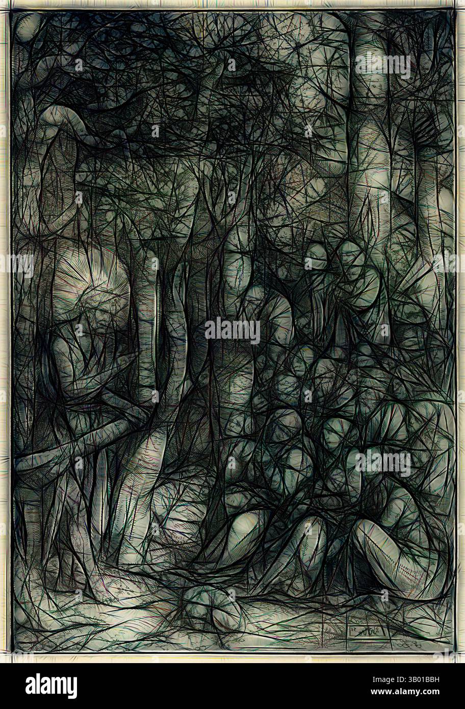 Entwined trees hi-res stock photography and images - Alamy