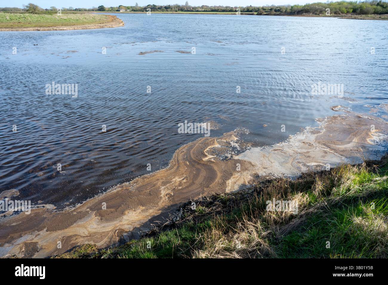 Sewage pollution in Chichester Harbour Stock Photo - Alamy