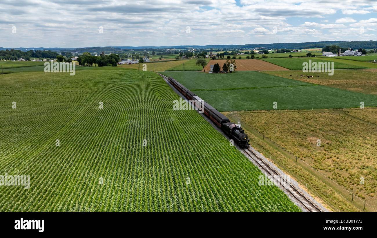 A vintage steam train moves along railway tracks surrounded by vibrant ...