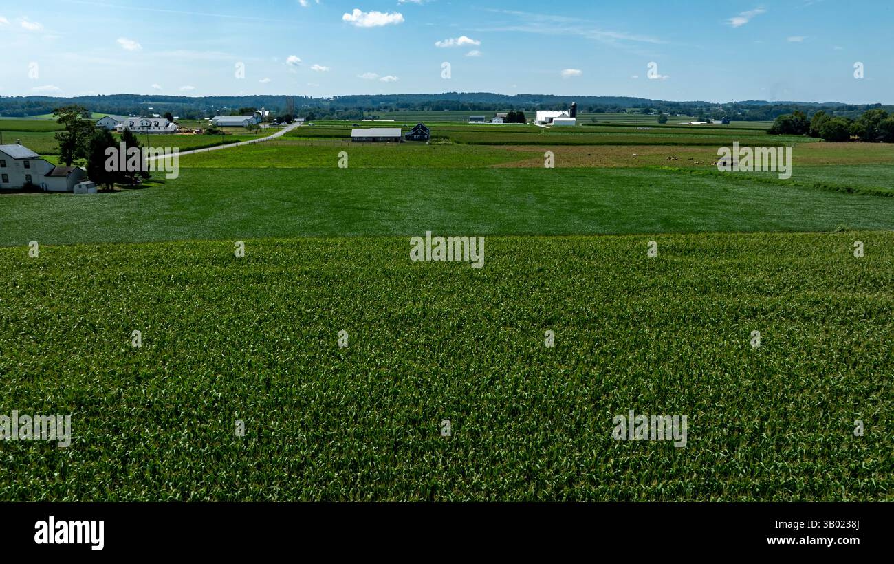 Lush green fields stretch across the countryside, dotted with farms and ...