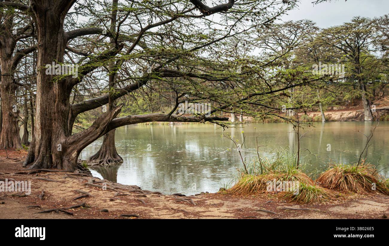 Step into the serene beauty of the Texas Hill Country with this ...