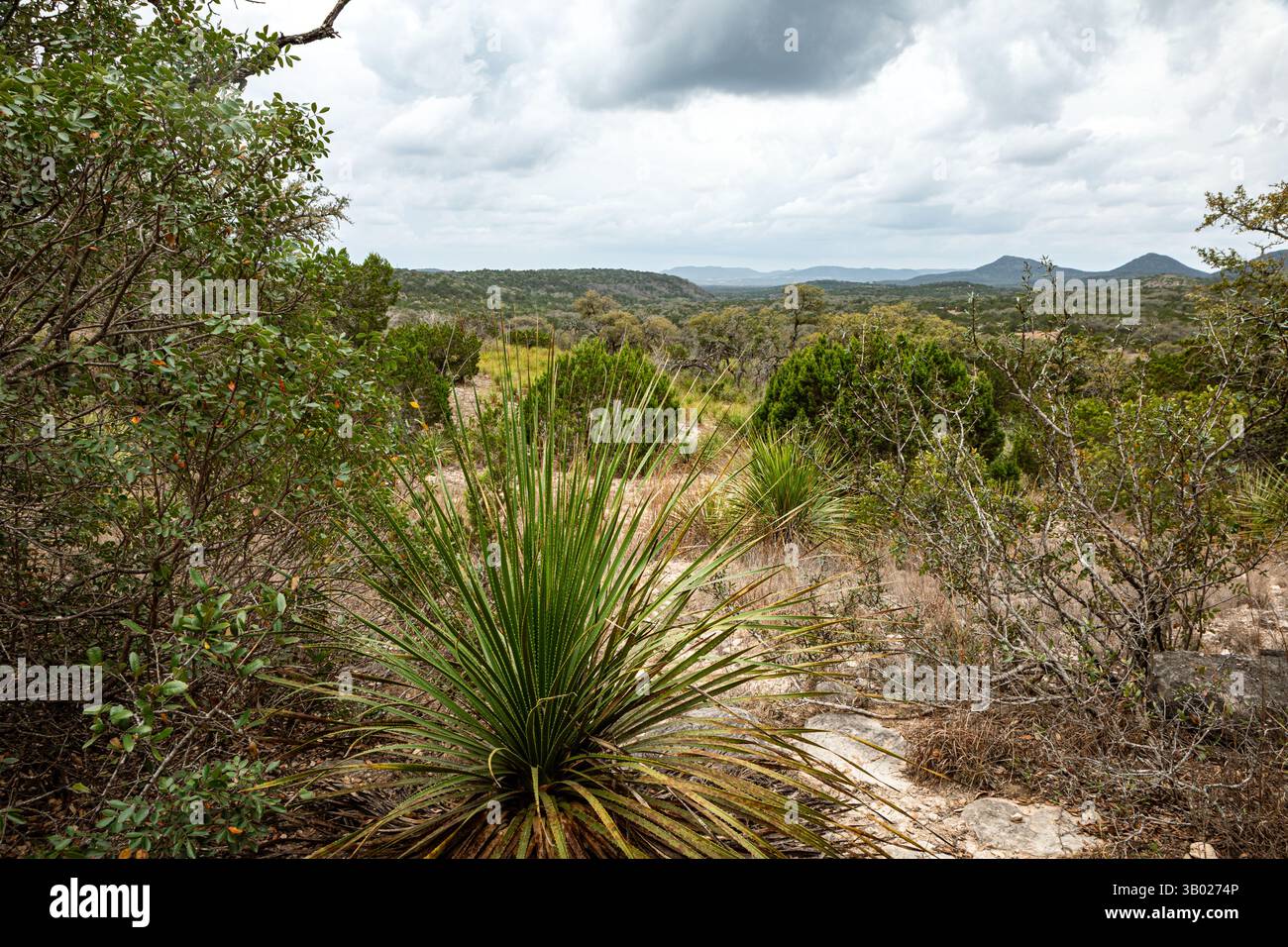 This dramatic landscape was captured in the Hill Country State Natural ...