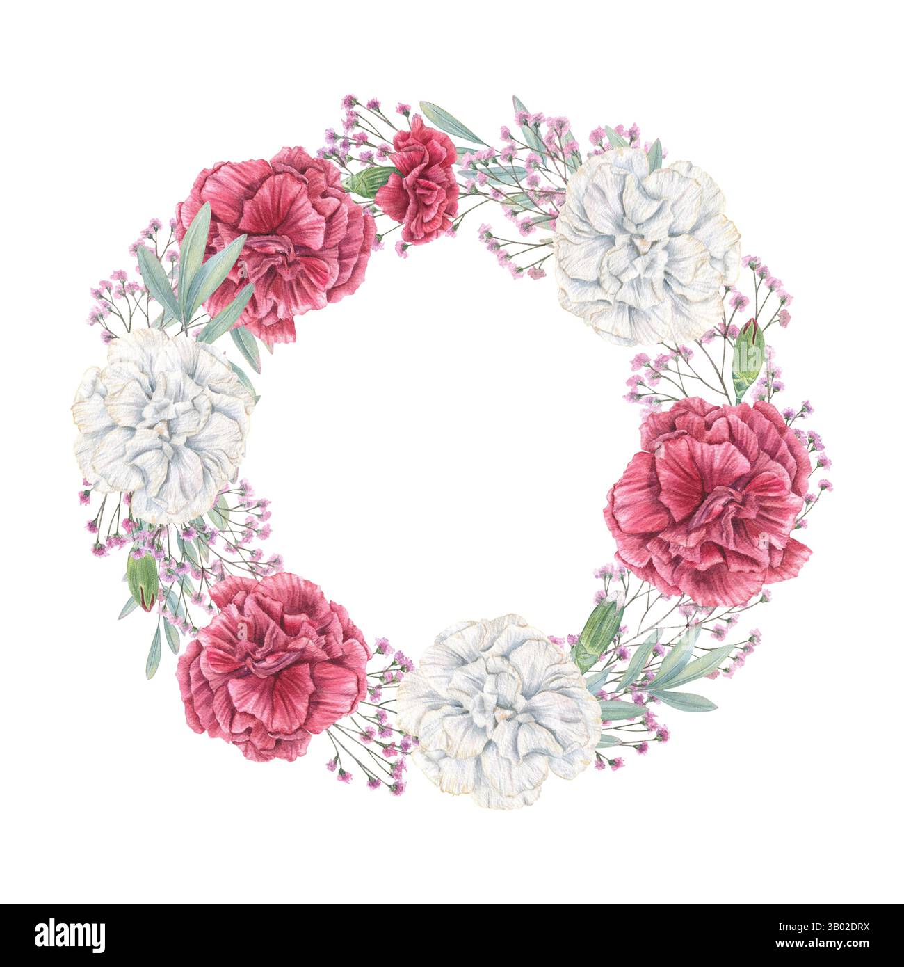 Eucalyptus gypsophila branches white Cut Out Stock Images & Pictures ...