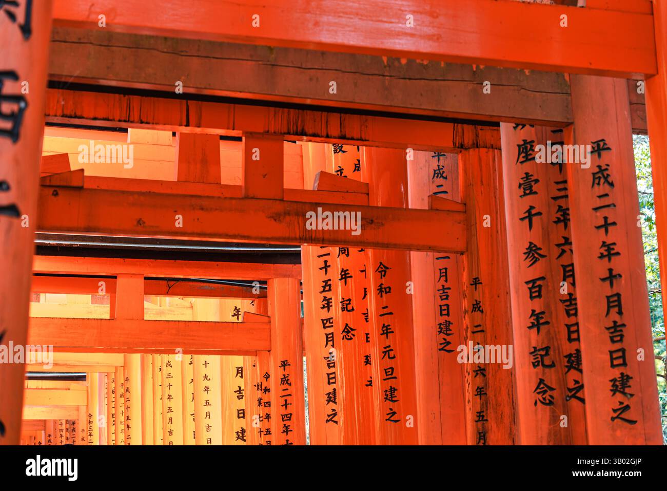 Kyoto, Japan - Mar 26 2025 : Holy tunnel of vibrant red torii gates ...
