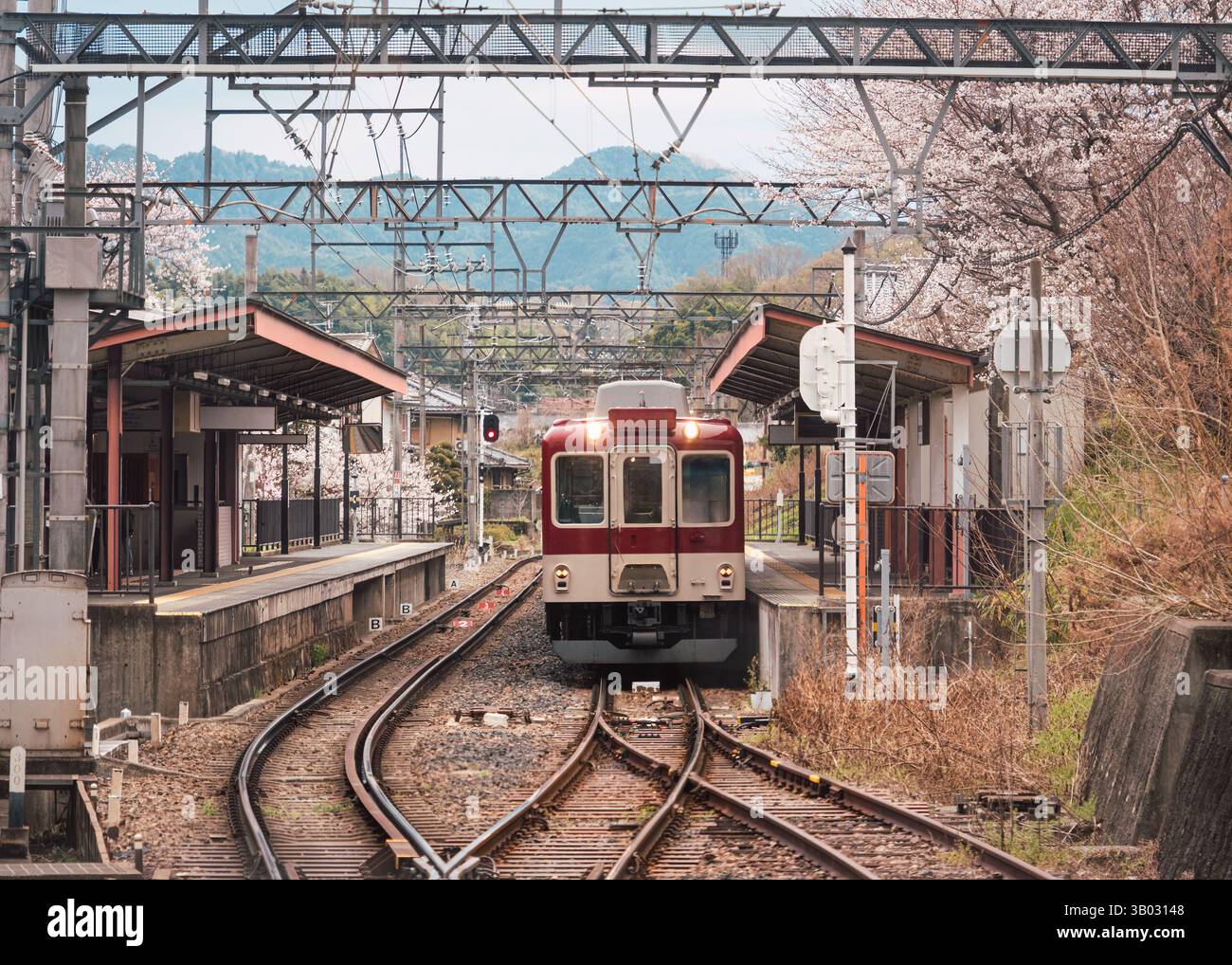 Local train running on electric railway arrives to countryside station ...