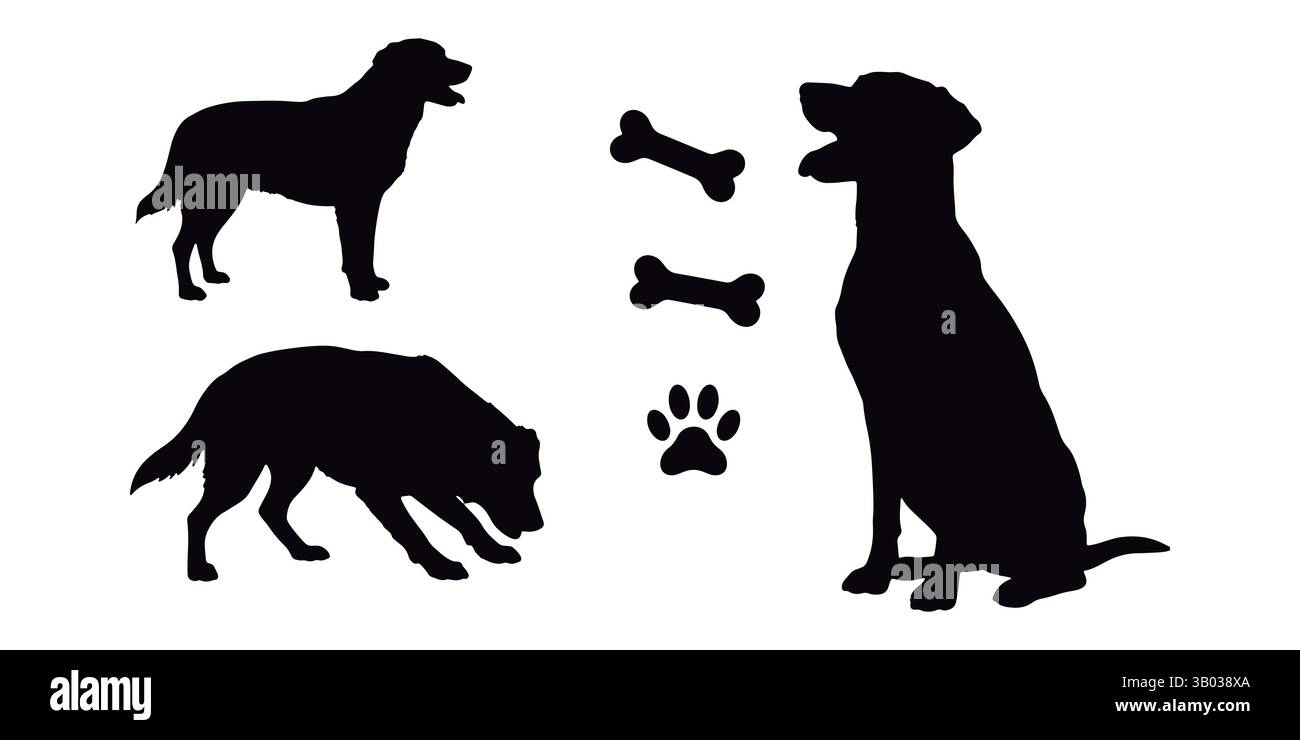 Clean bone Black and White Stock Photos & Images - Alamy