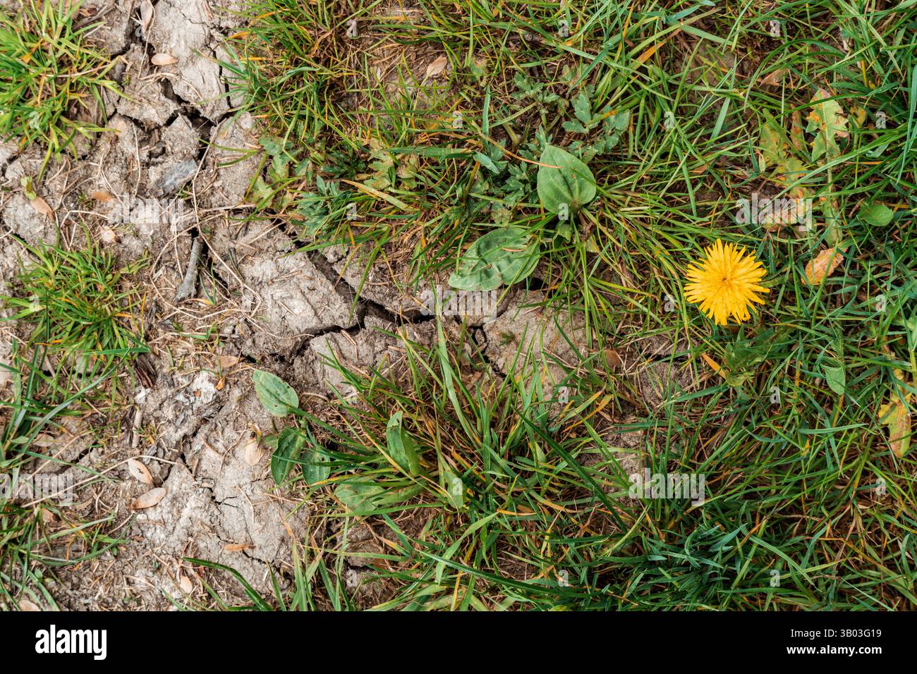 Bavaria, Germany - April 20, 2025: Symbolic image of climate change ...