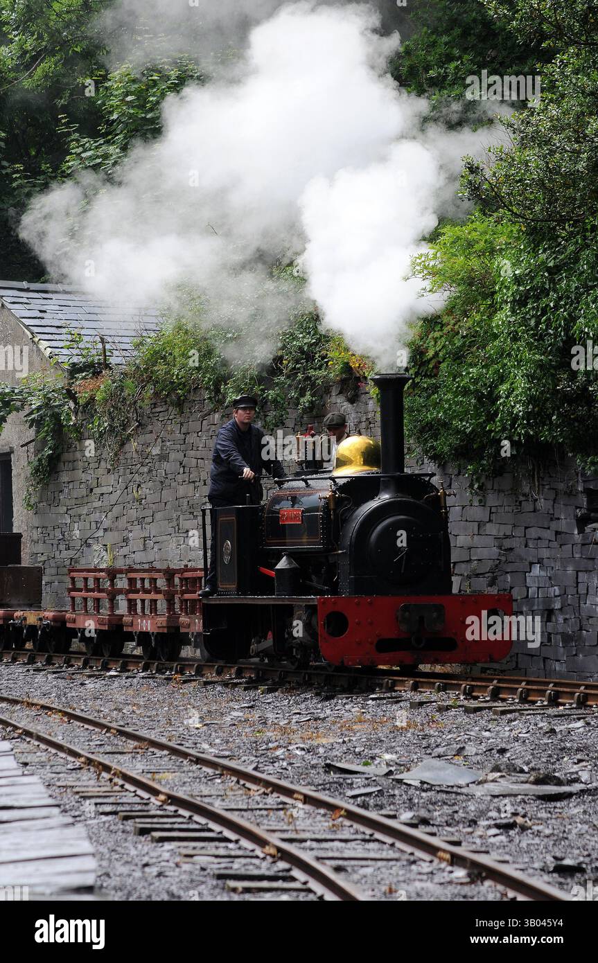 "Hugh Napier" and train at Felin Fawr Stock Photo - Alamy