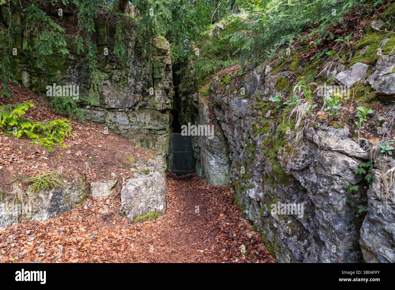 High Tor grounds in spring sunshine at Matlock Bath, Derbyshire ...