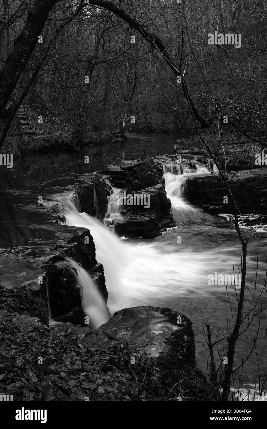Small waterfall on the Afon Pyrddin, downstream of Sgwd Gwladys Stock ...