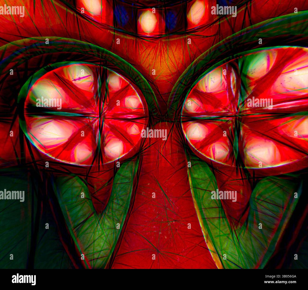 Featuring large expressive eyes hi-res stock photography and images - Alamy