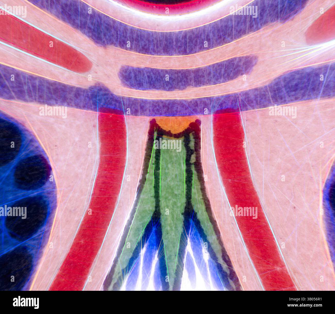 A close-up view reveals intricate patterns and vibrant colors ...