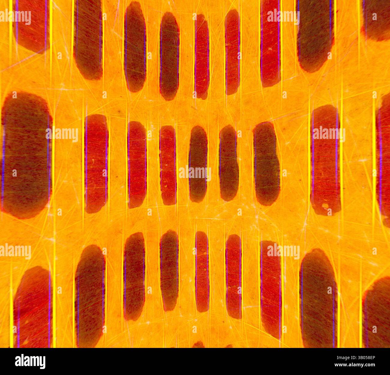 A vibrant pattern of elongated shapes in shades of orange and red ...