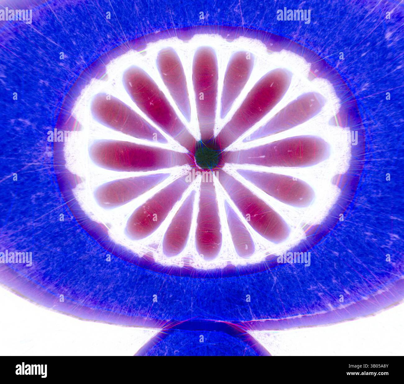 A vibrant, abstract design features a central floral motif surrounded ...