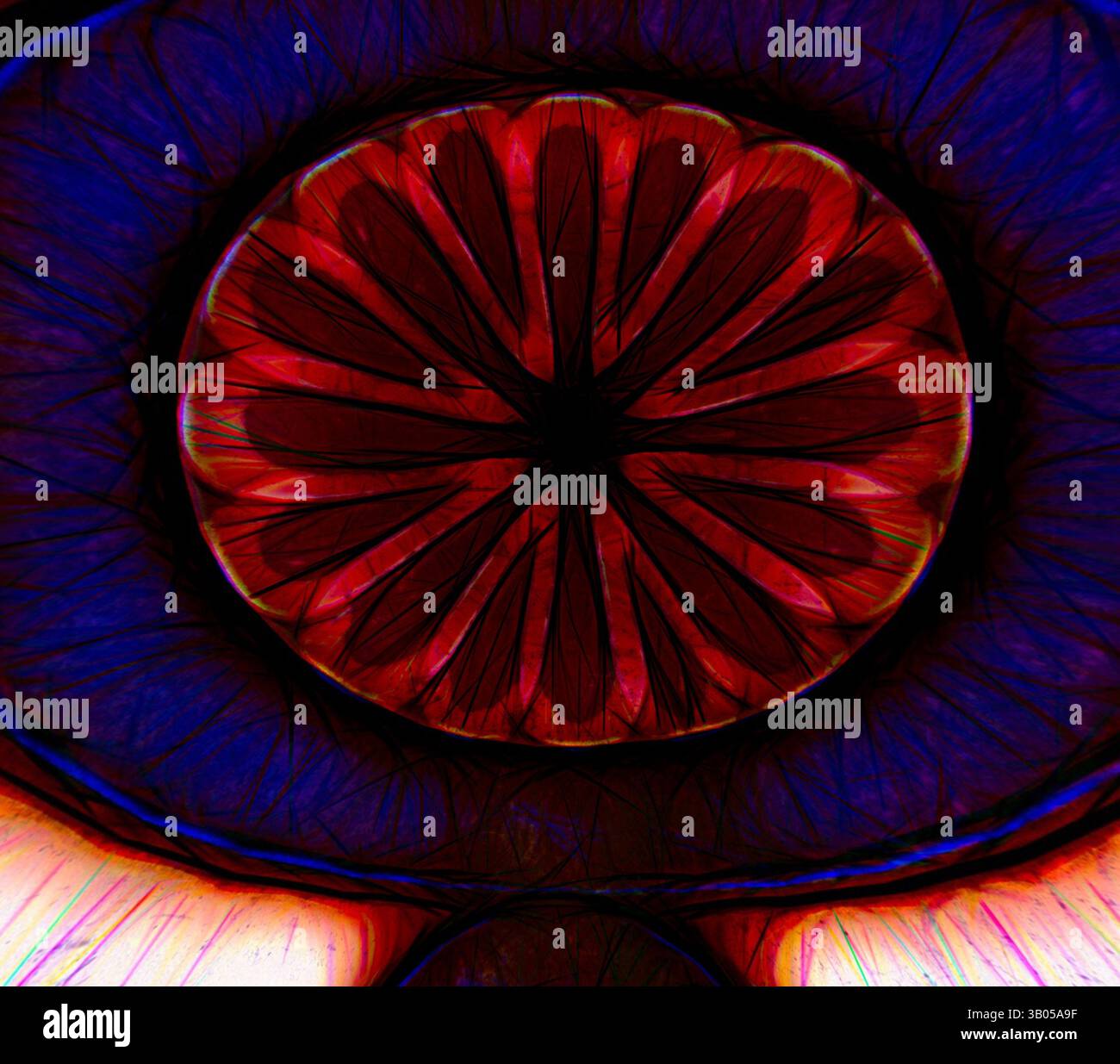 A vibrant, abstract depiction of a cross-section of a citrus fruit ...