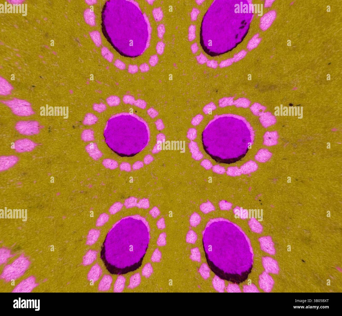 Yellow ovals creates hi-res stock photography and images - Alamy