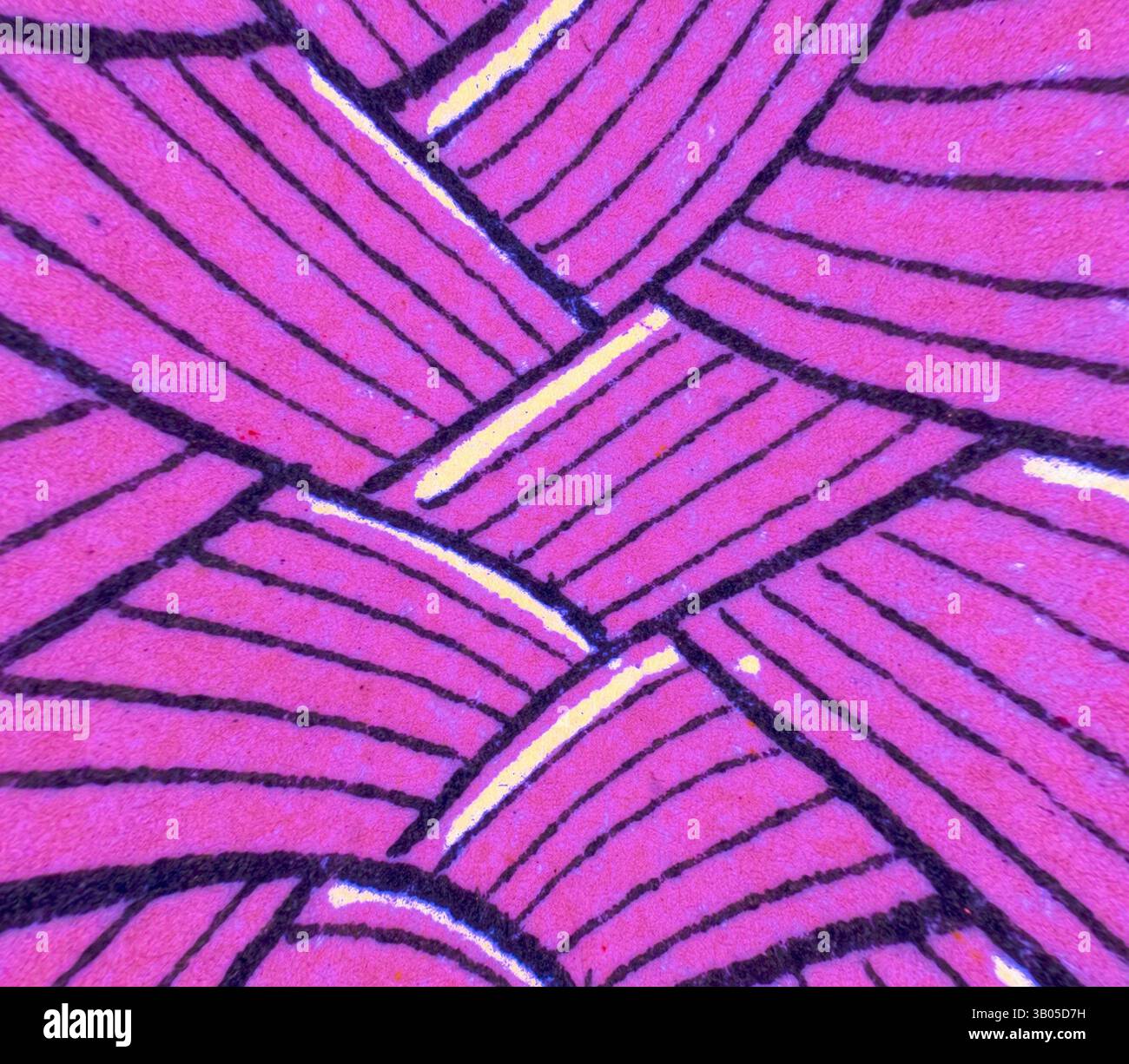 A vibrant pattern features interwoven lines in pink, accented with bold ...