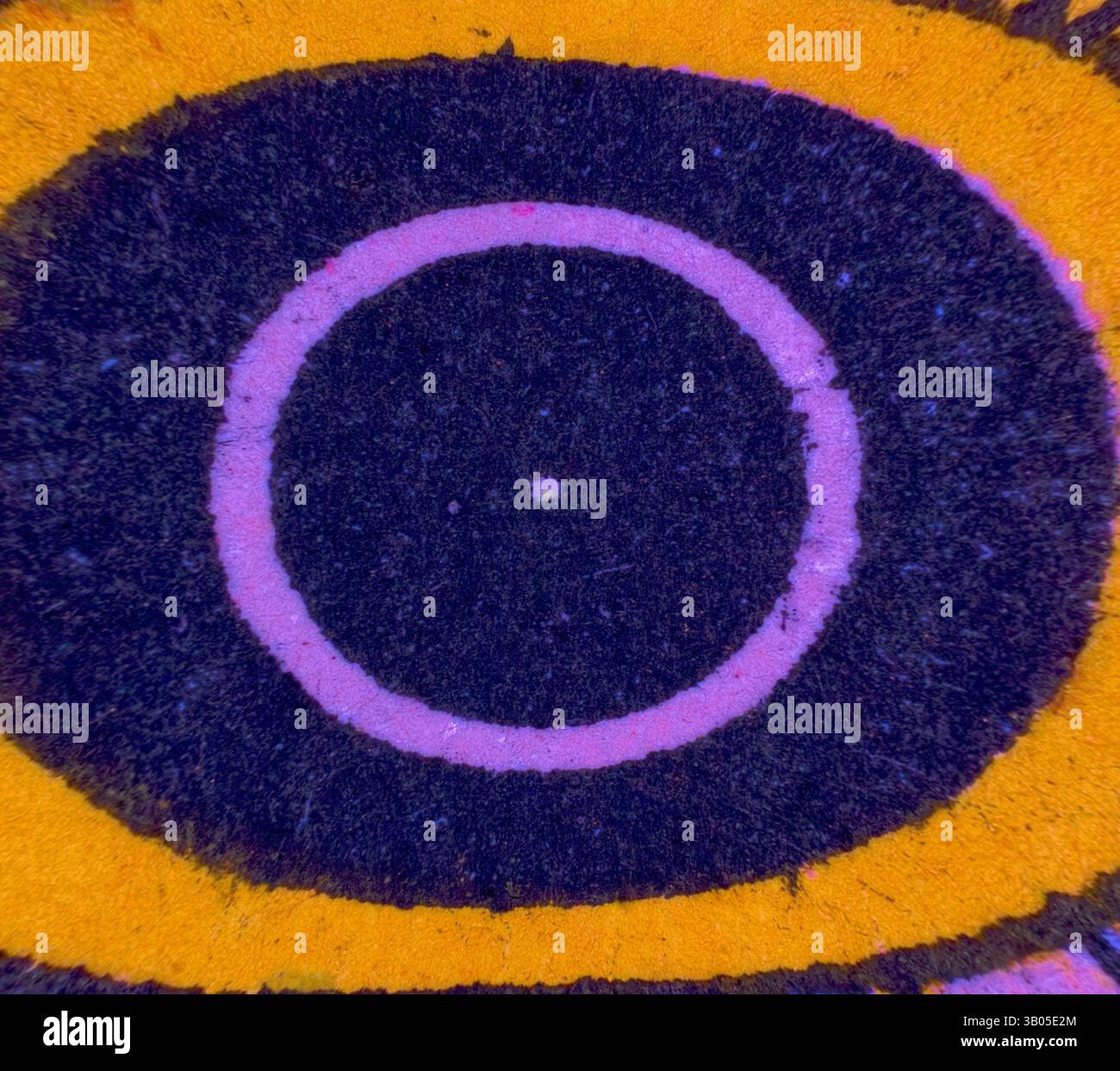 A series of concentric circles with vibrant colors create a striking ...