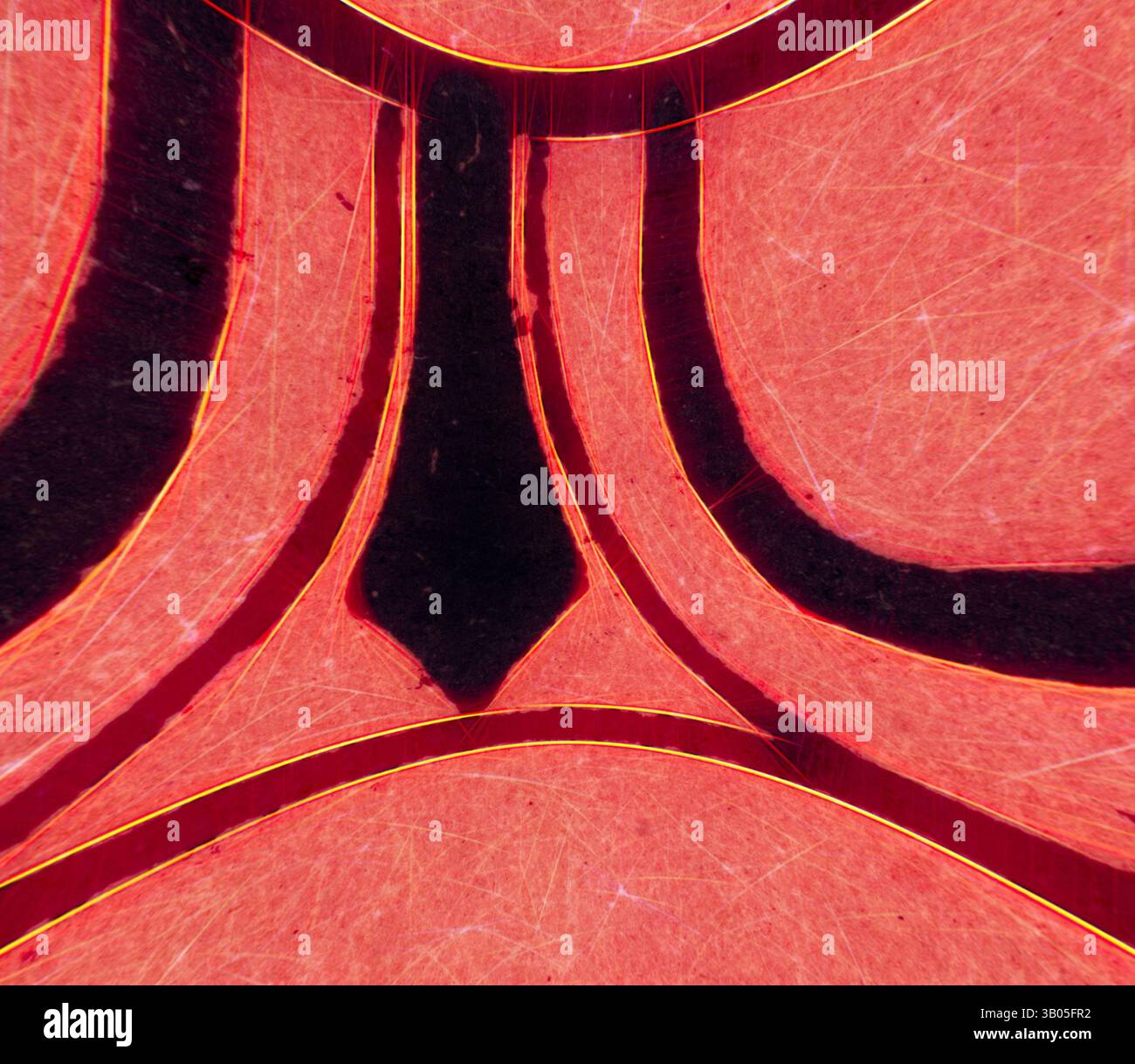Contrasting elements converge hi-res stock photography and images - Alamy