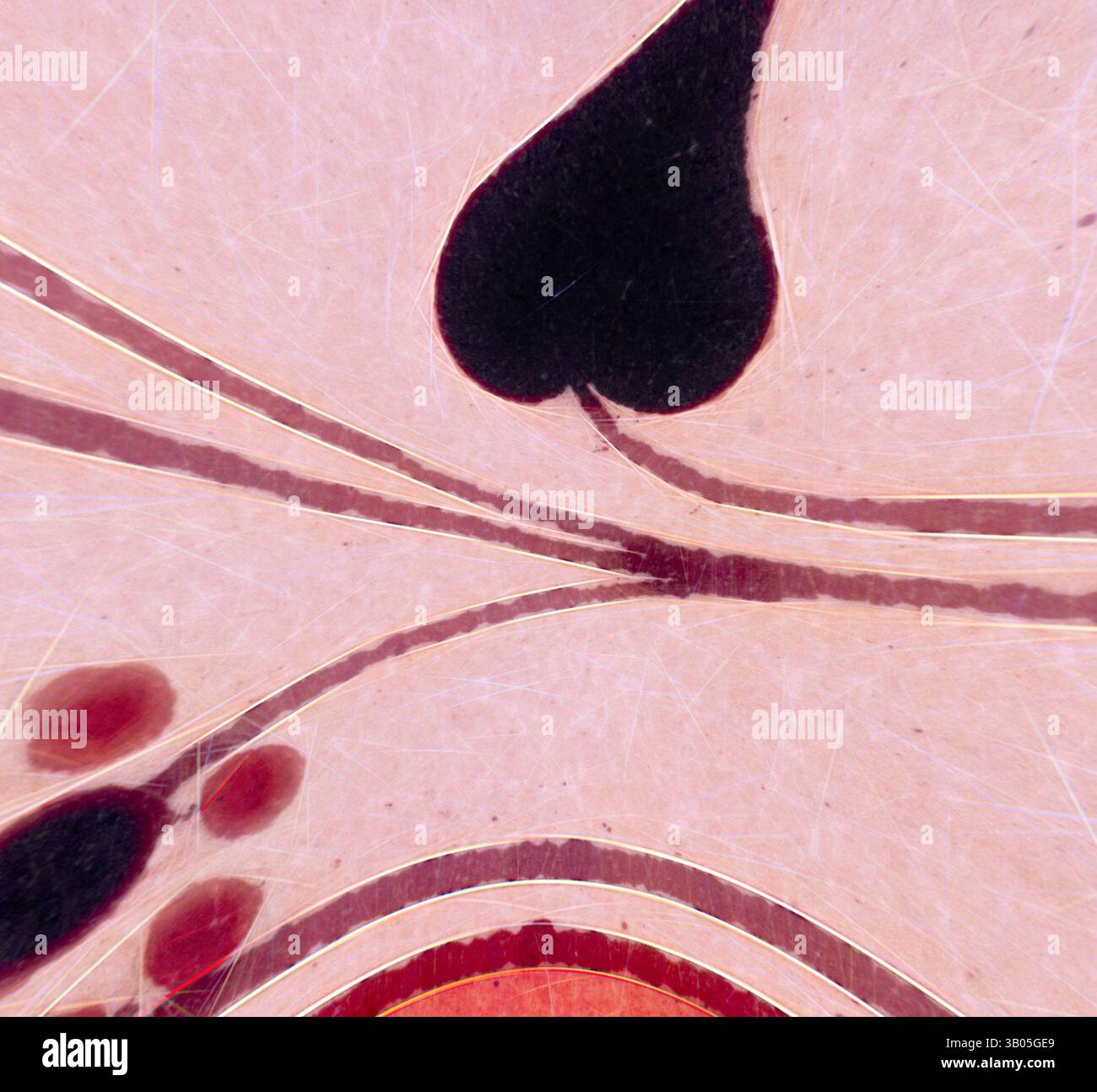 An intricate design featuring flowing lines and shapes, characterized ...