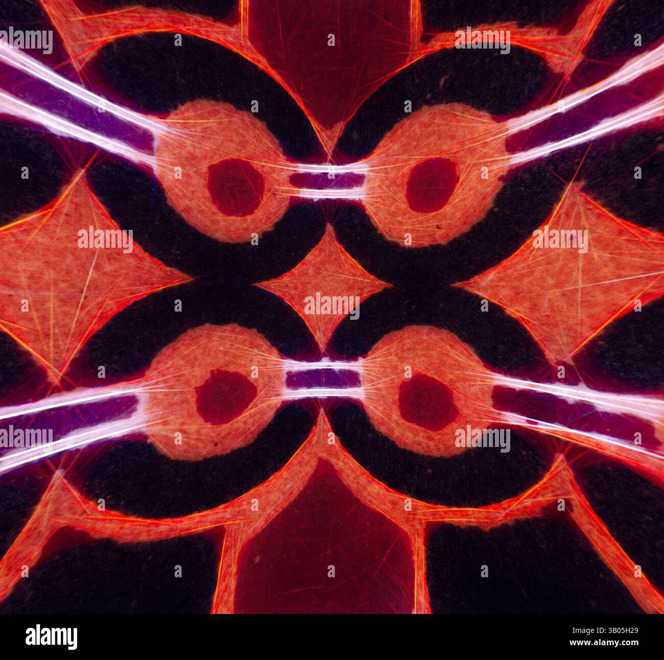 An intricate pattern featuring circular shapes interconnected by ...