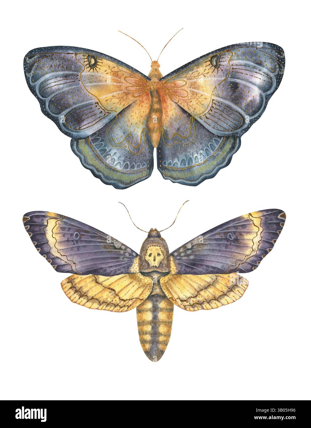 Gypsy moth in garden art hi-res stock photography and images - Alamy