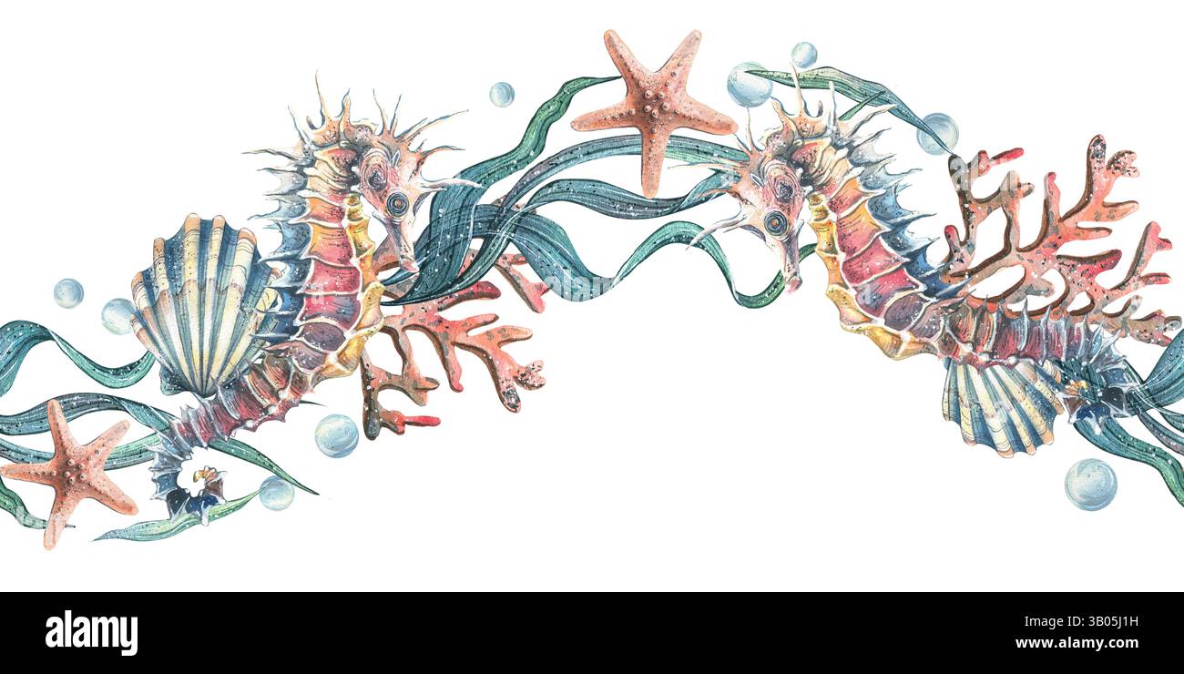 Seahorse seashells, seaweed, starfish, corals, sea sponges and pebbles ...