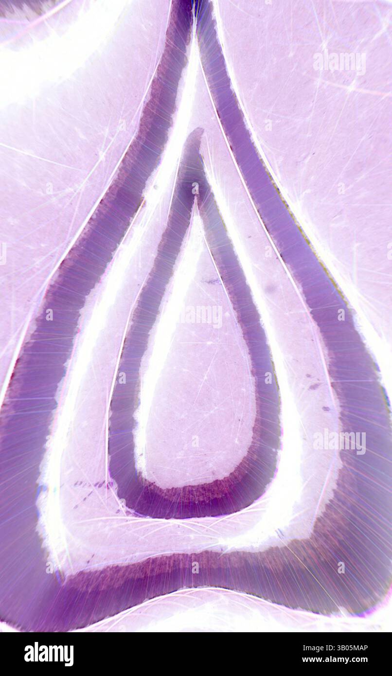 Central teardrop form hi-res stock photography and images - Alamy