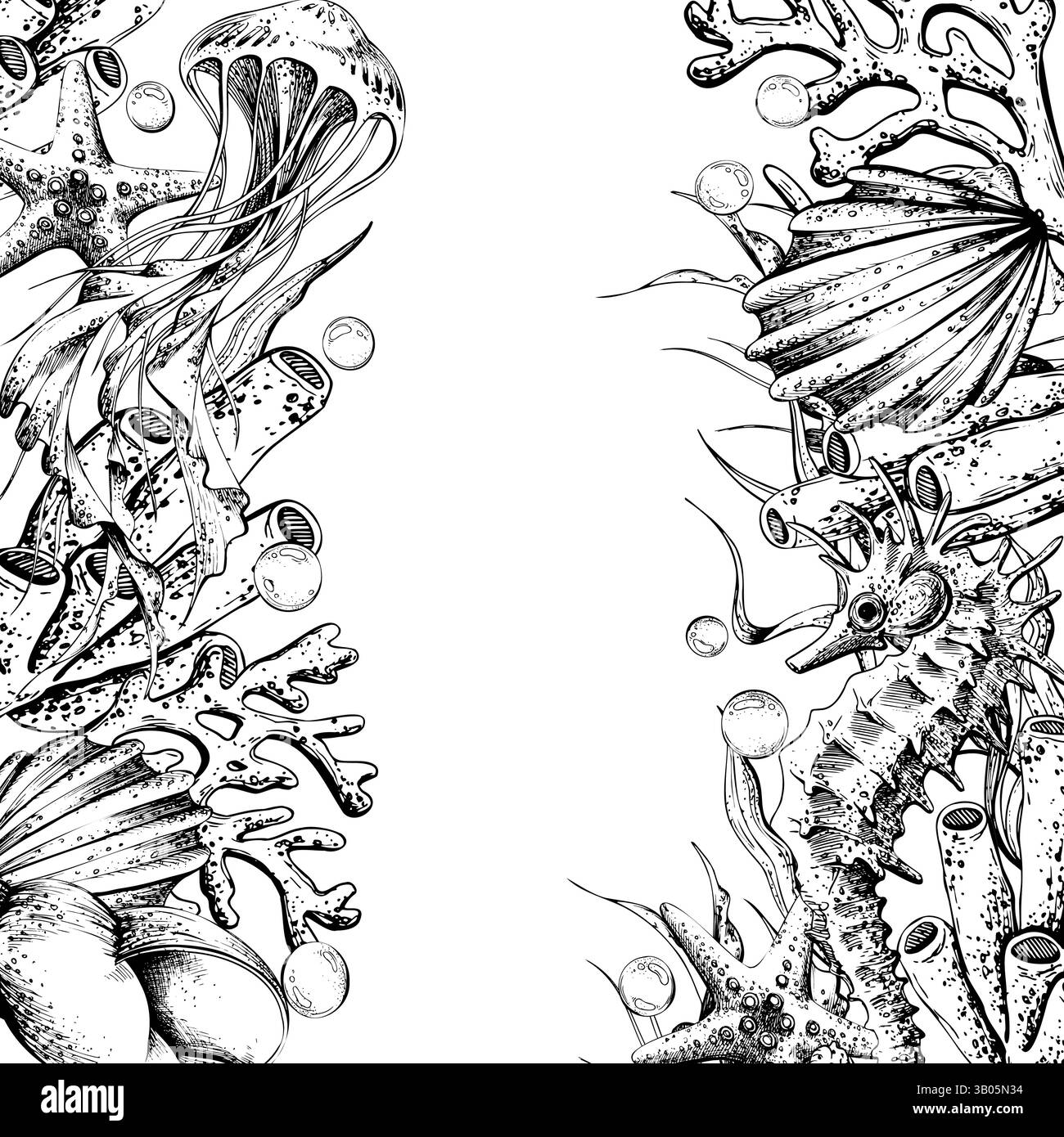 Seahorse, jellyfish, seashell, coral, starfish, sea sponge, algae ...