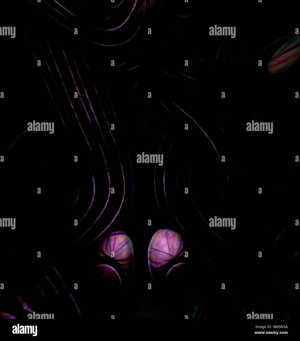 Hints of luminescent orbs peering hi-res stock photography and images ...