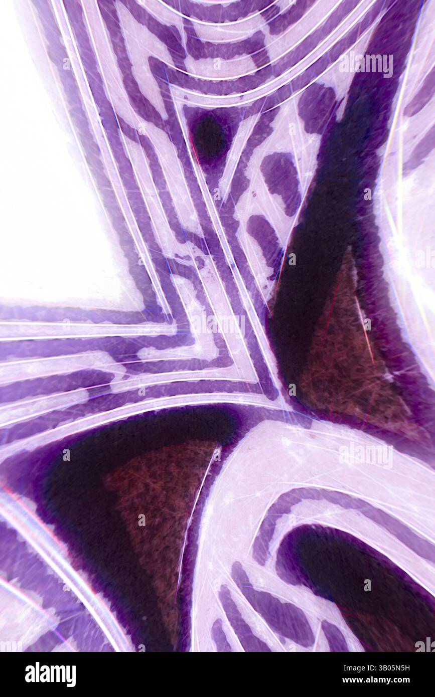 Abstract patterns intertwine with flowing lines and shapes, creating a ...